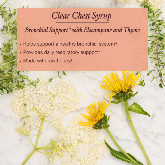 Clear Chest Herbal Syrup - Urban Moonshine