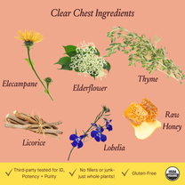 Clear Chest Herbal Syrup - Urban Moonshine