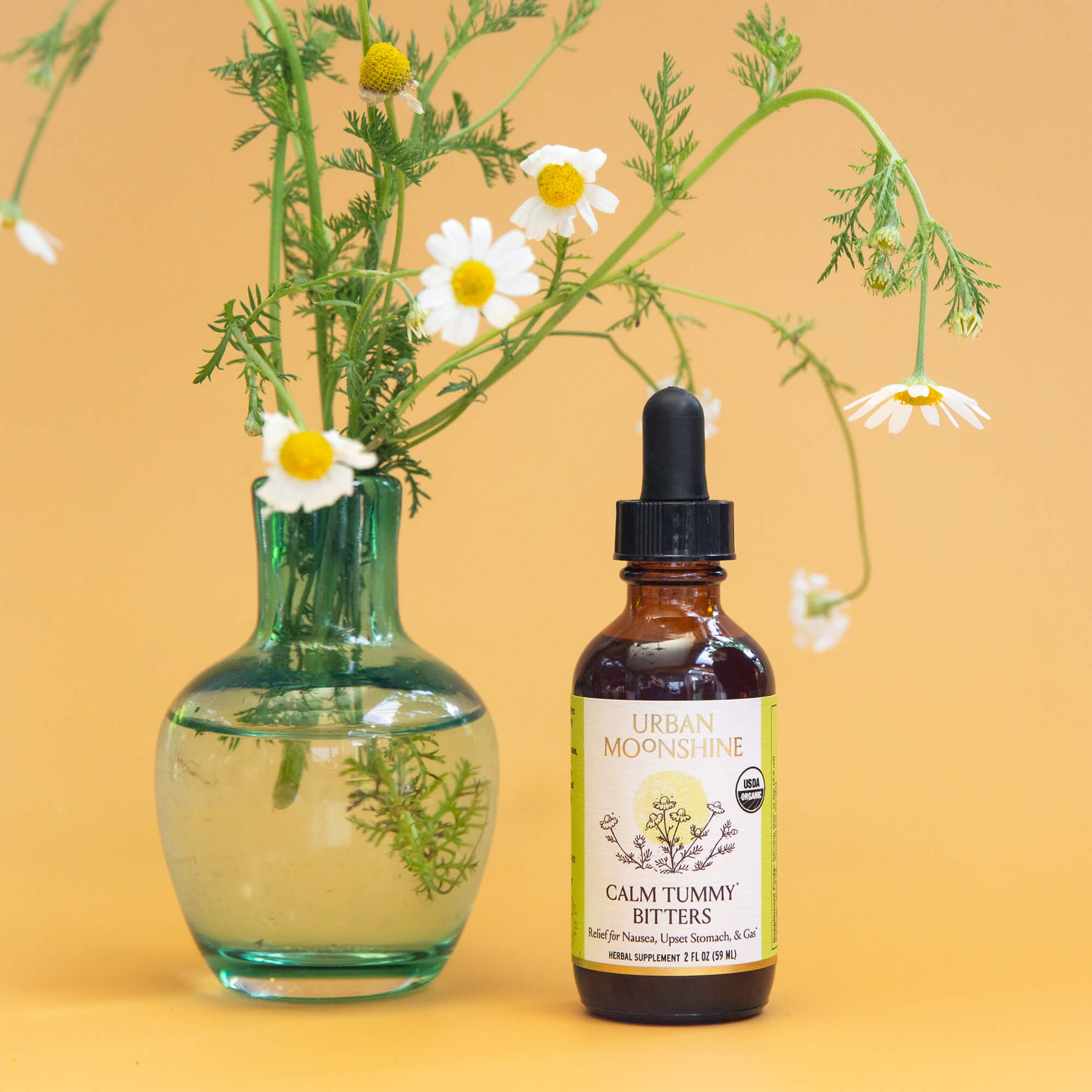 Digestive Bitters – Urban Moonshine