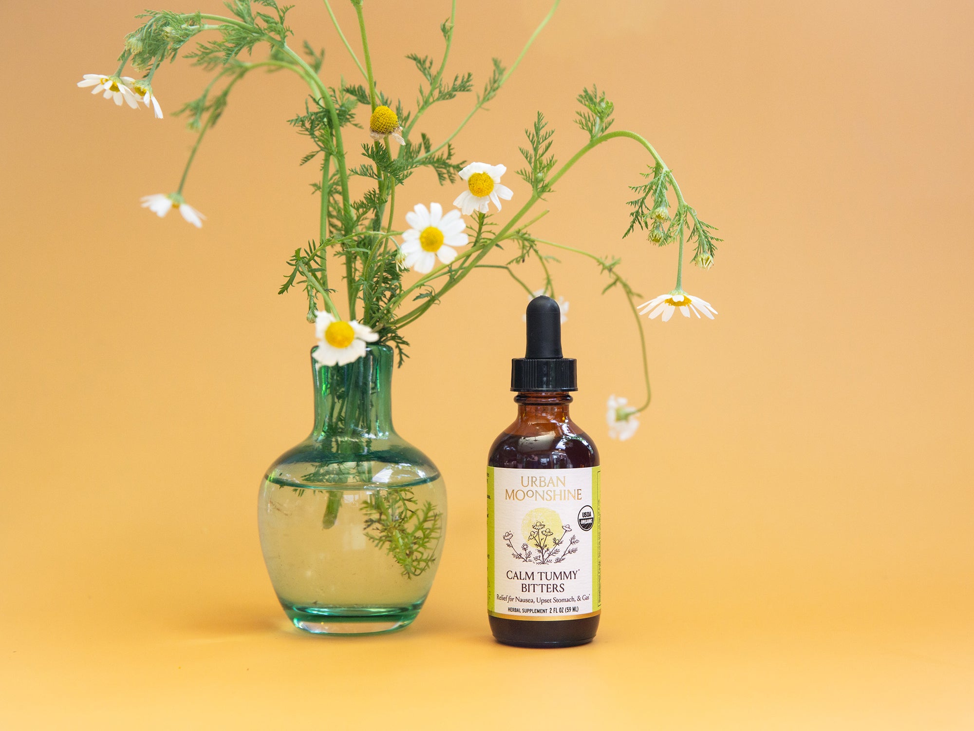 About Digestive Bitters - Urban Moonshine